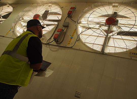 专业服务- VES-Artex - 热爱运动